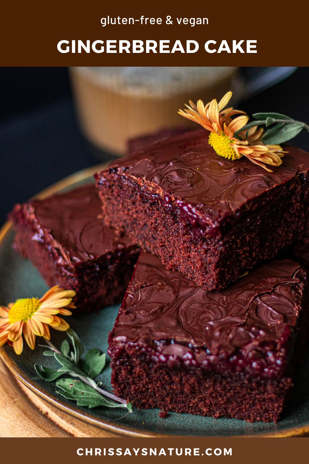 Gluten-free gingerbread cake - vegan - CHRISSAYSNATURE